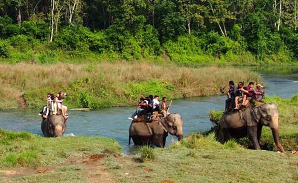 Jungle Safari in Nepal, Wildlife Adventure Nepal | Info Nepal Treks